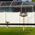 Poly Post Mount Double Deluxe Tray Bird Feeder from DutchCrafters