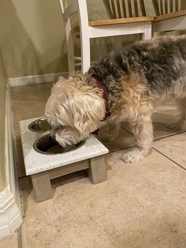 Double Bowl Dog Diner - Quick Ship by Dutchcrafters Amish Furniture