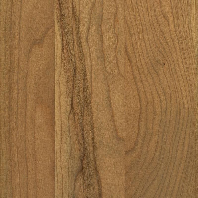 PCL Sample -Sap Cherry - Seashell