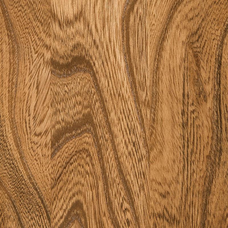 PCL Sample - Elm - Harvest