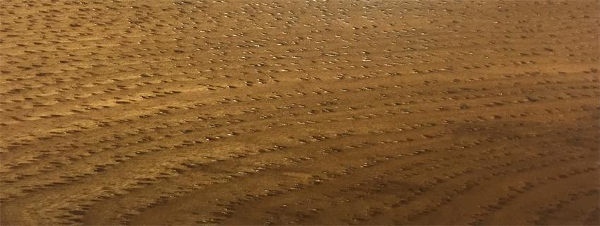 OCS Sample - Hickory - 104 Seely