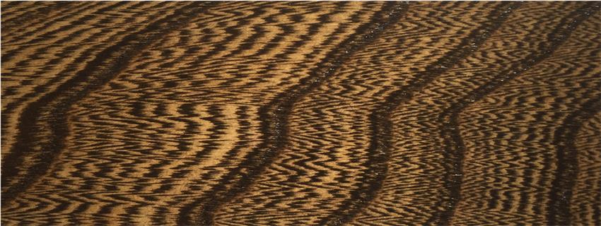 OCS Sample - Elm - 119 Cappuccino