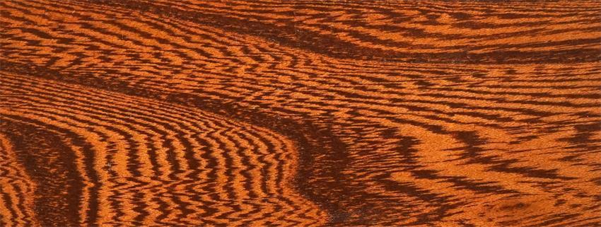 OCS Sample - Elm - 107 Washington