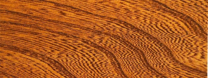 OCS Sample - Elm - 104 Seely