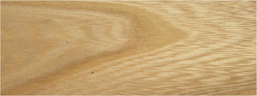 OCS Sample - Elm - 100 Natural